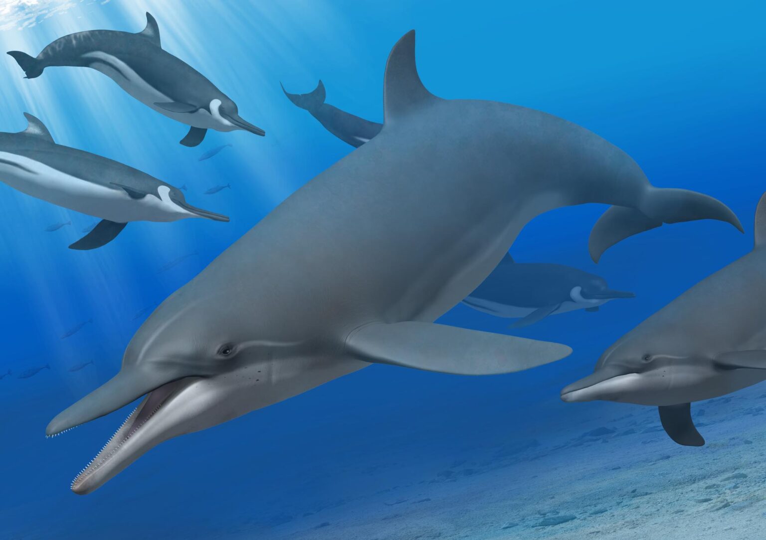 Archaeologists discover earliest known and earliest diverging oceanic ...