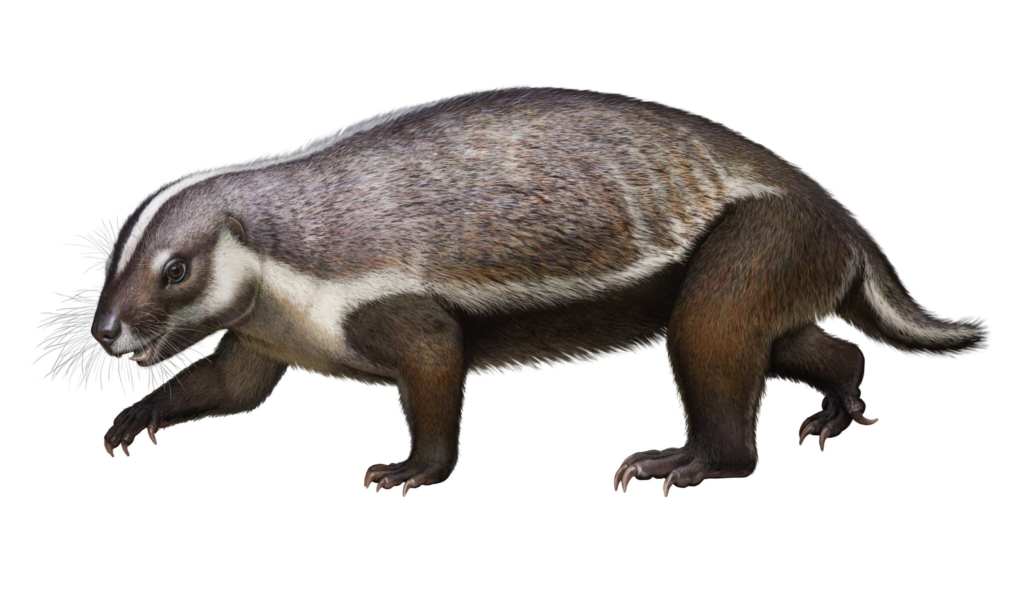 The ‘Crazy Beast’ that lived among the dinosaurs - Taylor & Francis ...