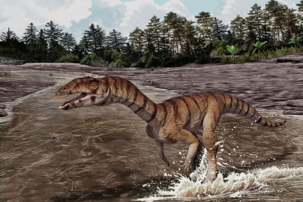 Meet the ‘Witch Croc’ – a new Triassic find of a bizarre, toothless ...